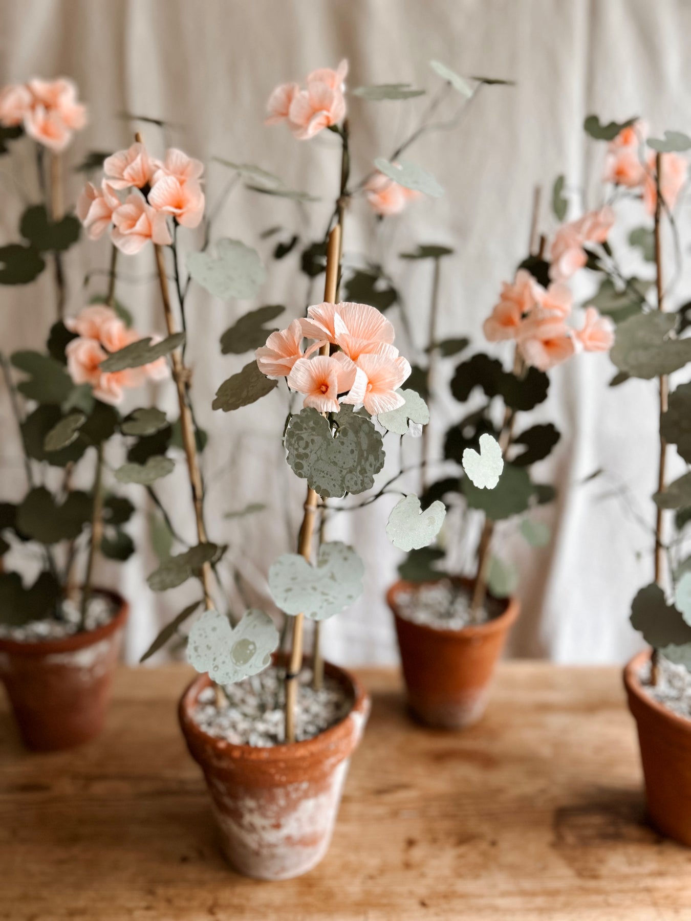 Shop All– Faeger Shop