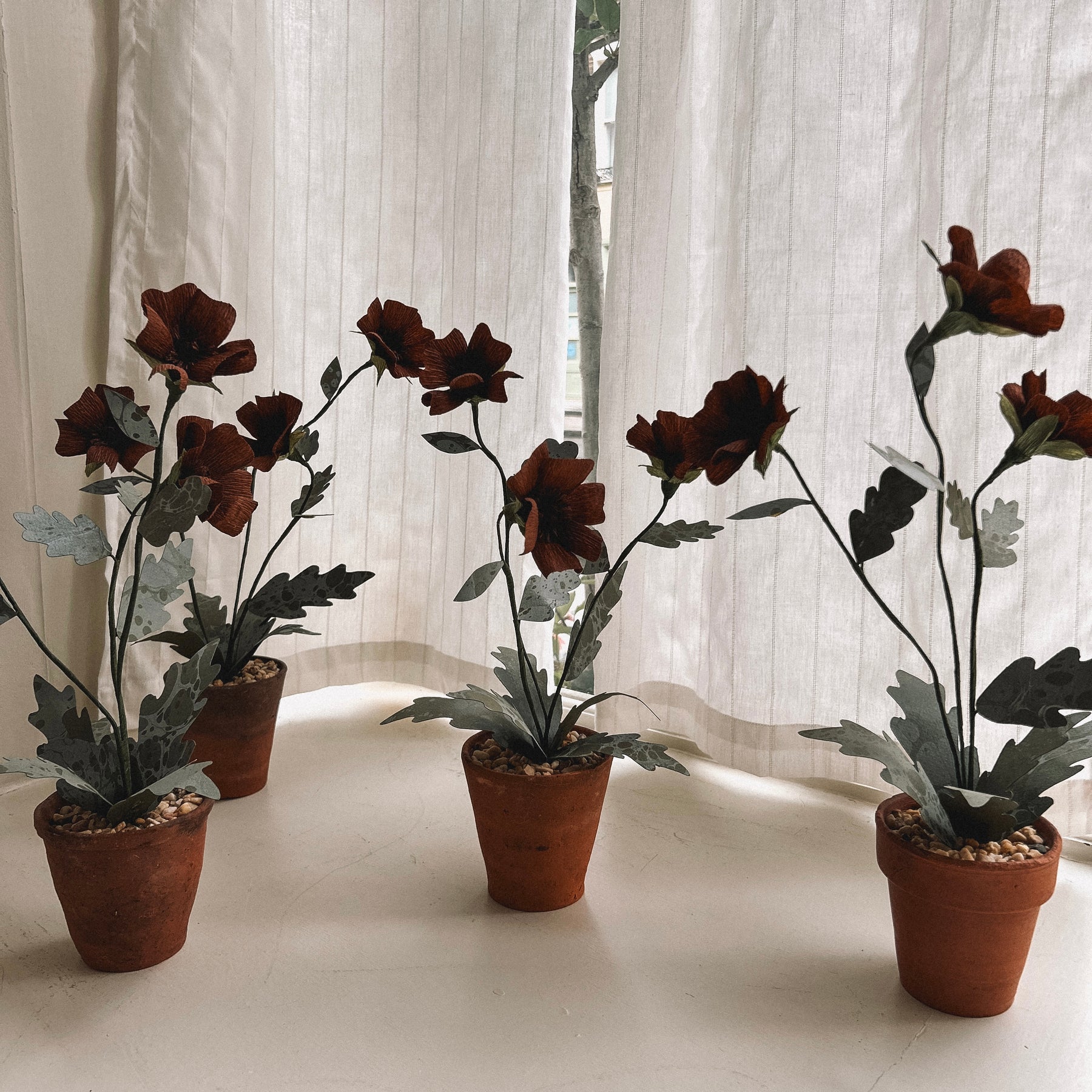 Shop All– Faeger Shop