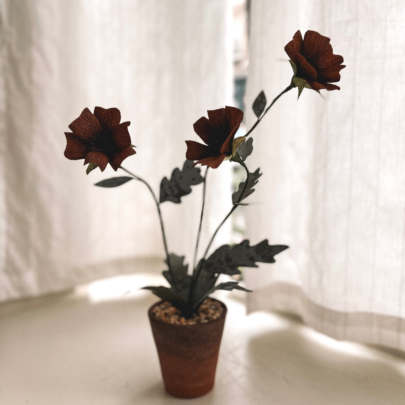 Shop All– Faeger Shop