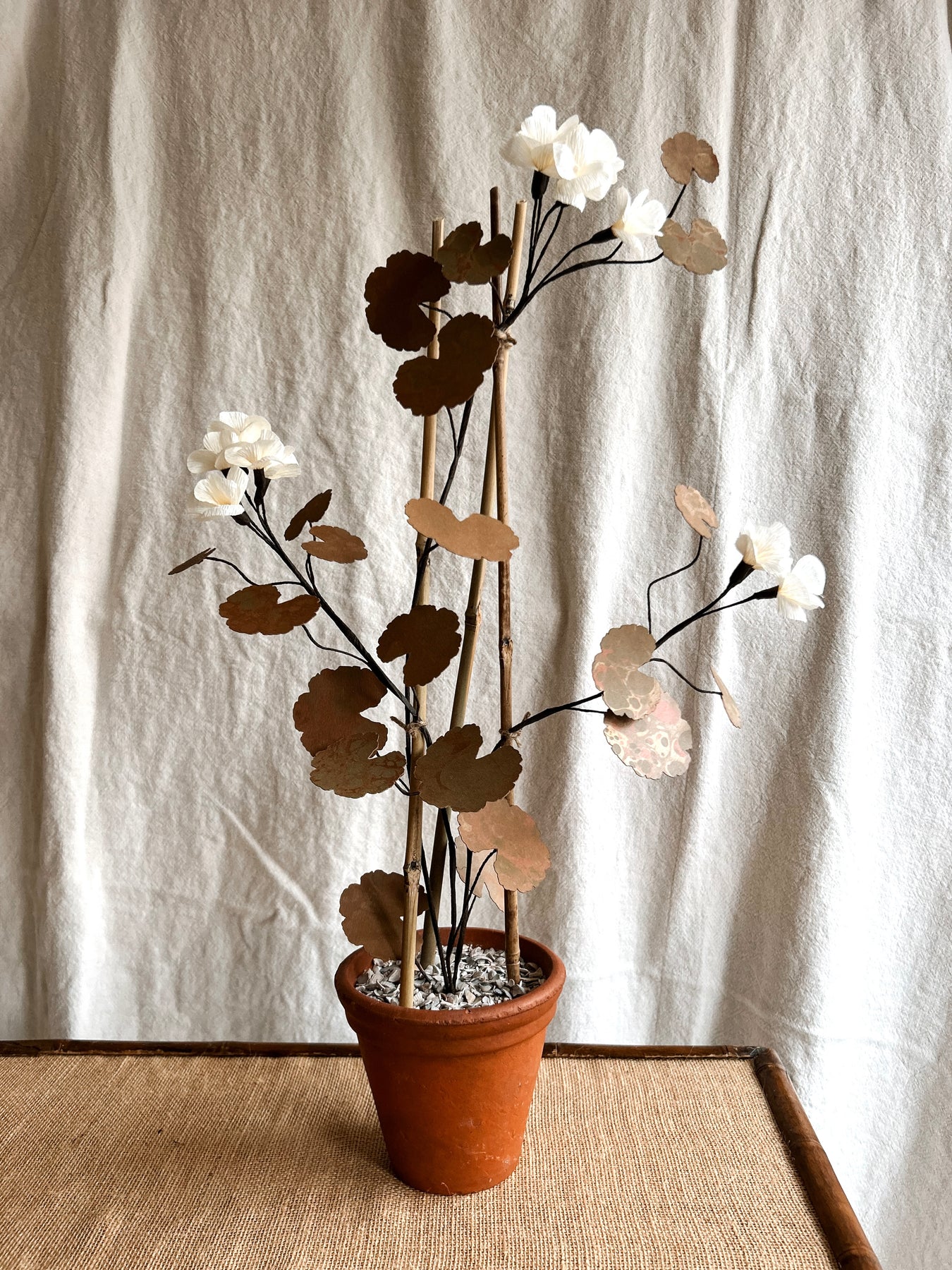 Shop All– Faeger Shop